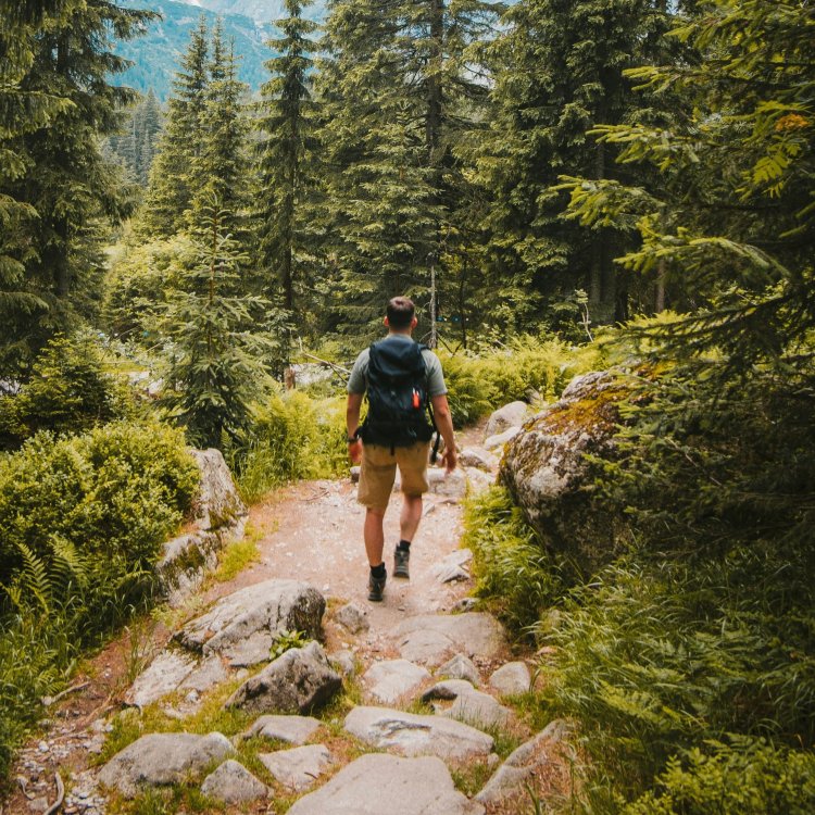 A Beginner’s Guide to Hiking in the U.S.: Easy Trails and Essential Tips